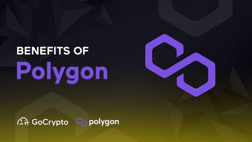 What is Polygon bringing to the table?