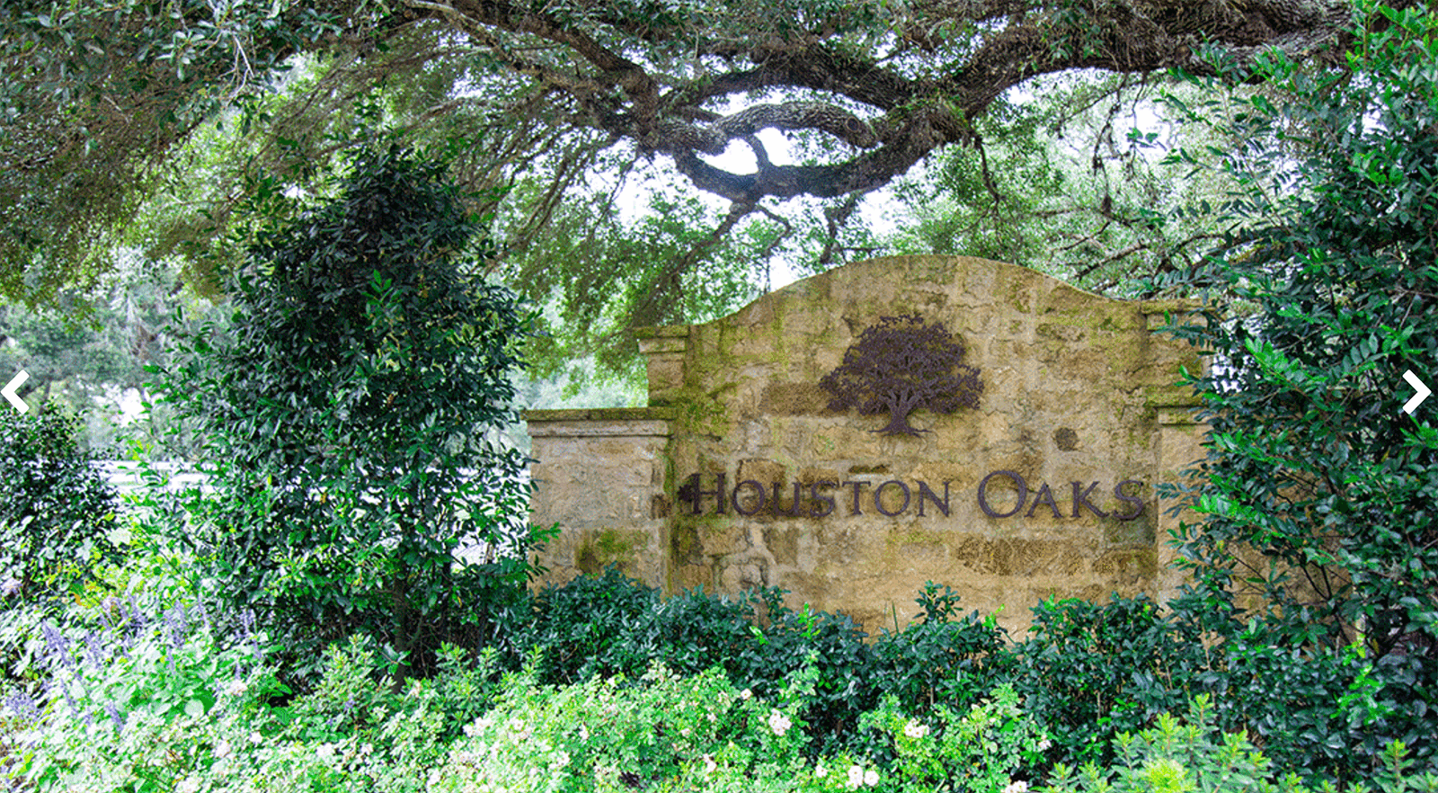 William David Homes - Home