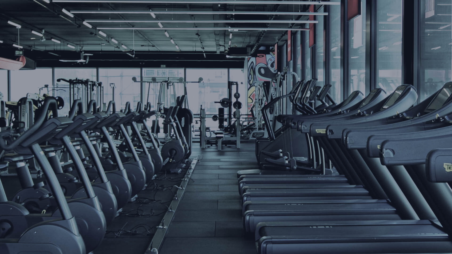 Thomson Geer | Capabilities