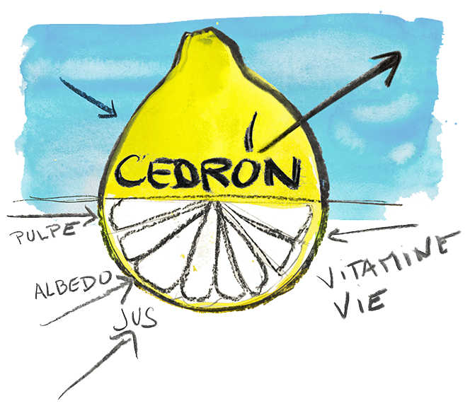 Cedron