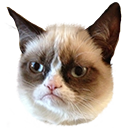 grumpy-cat | Custom Emoji