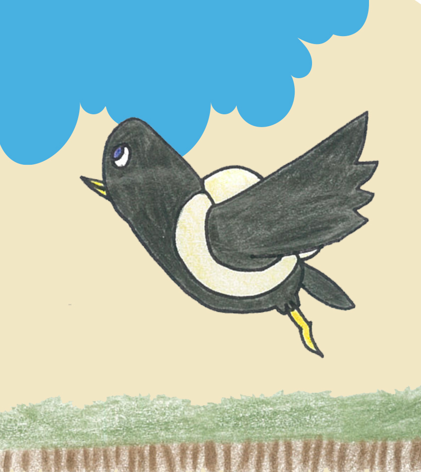 Sarah Pollard's Artwork Gallery