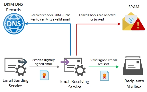 Cyber Basics: Email Anti-spoofing