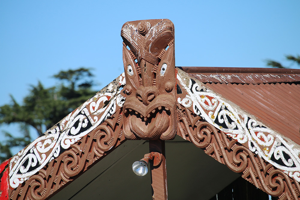 Kia Puāwai Project 1: Rapua te ara Rangatira kia hikitia ai te oranga ...