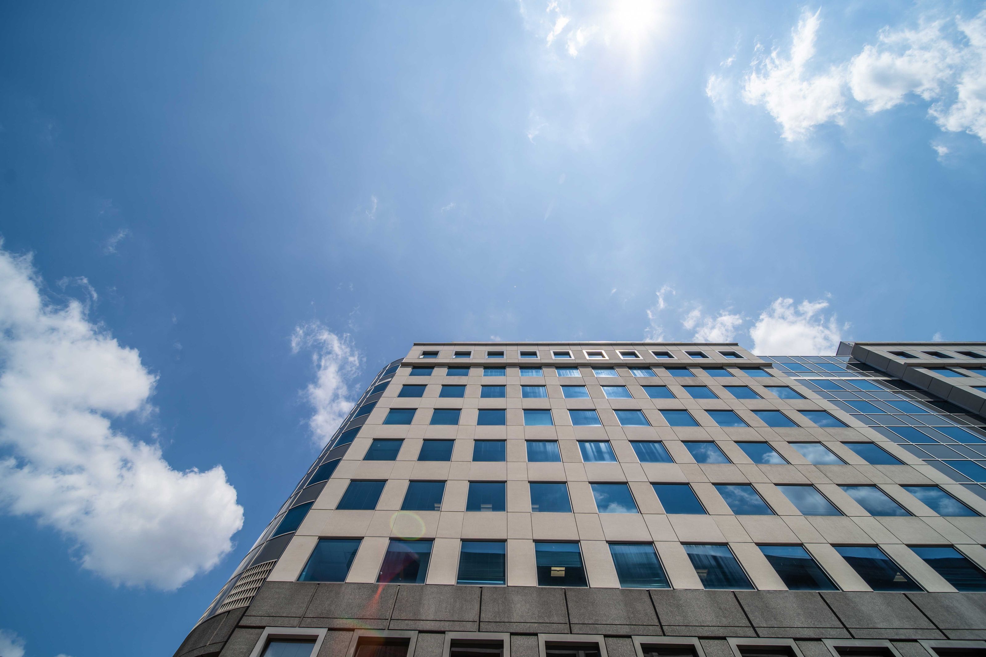 News | Meadow Partners