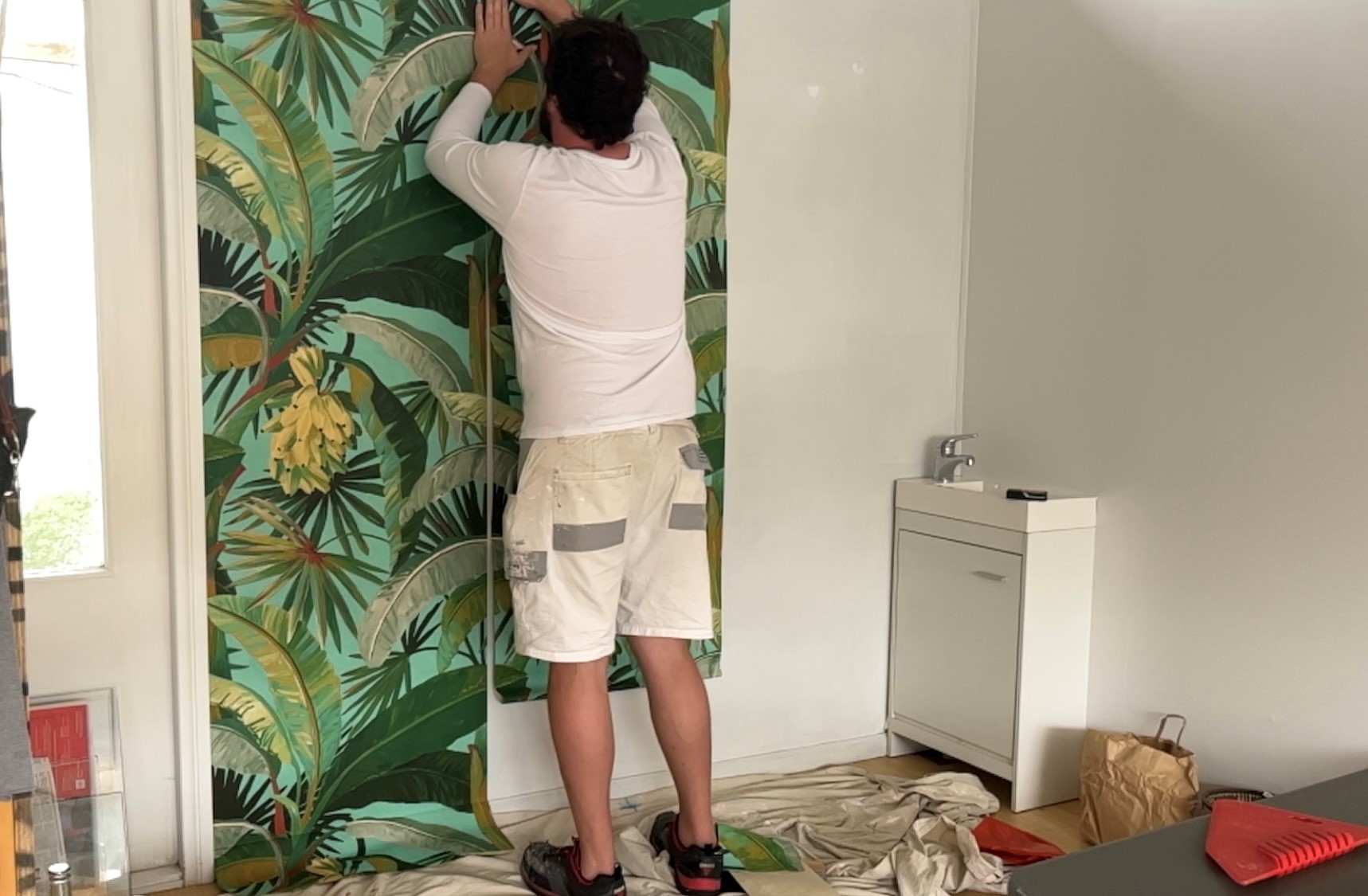 Plaster Paint Protect New Zealand
