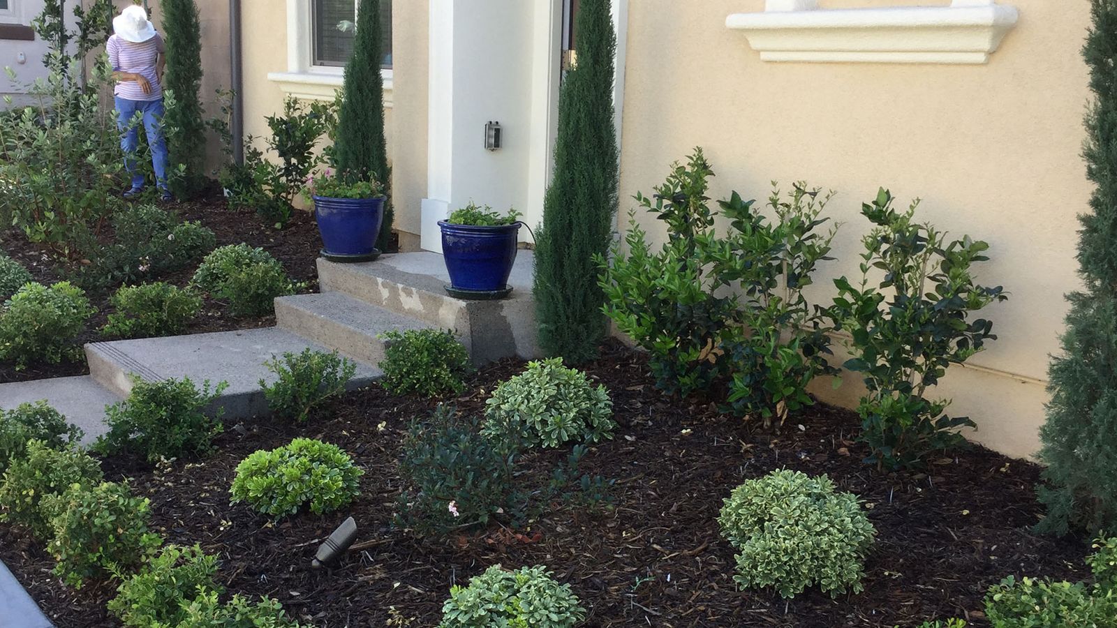 Home | All Seasons Landscaping | Orange County, CA