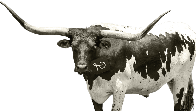 Play Pickleball In Austin | Austin Pickle Ranch