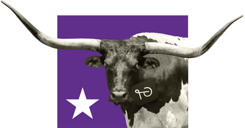 Ways to Play | Austin Pickle Ranch