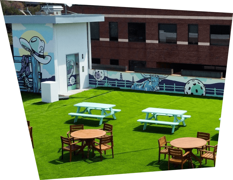 Play Pickleball In Austin | Austin Pickle Ranch