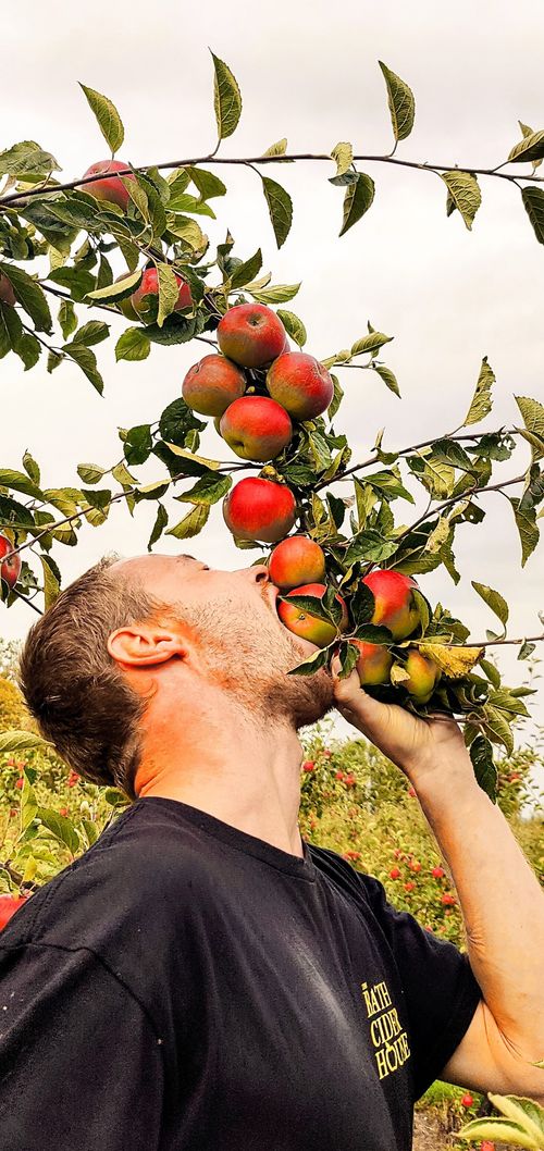 Bath Cider House | Our Cider