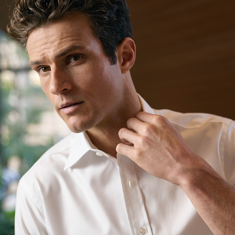 Hamilton Collections