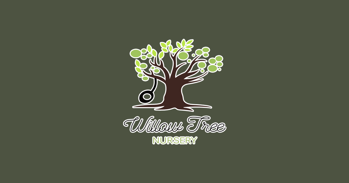 Willow Tree Nursery