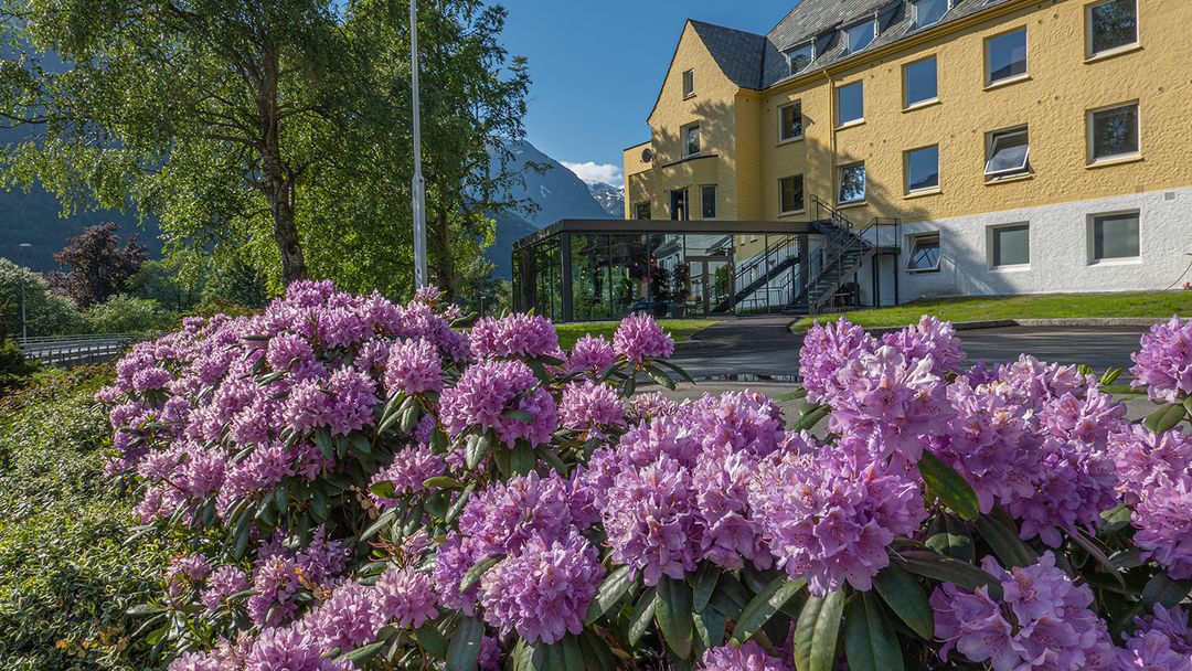 Spring – Trolltunga Hotel
