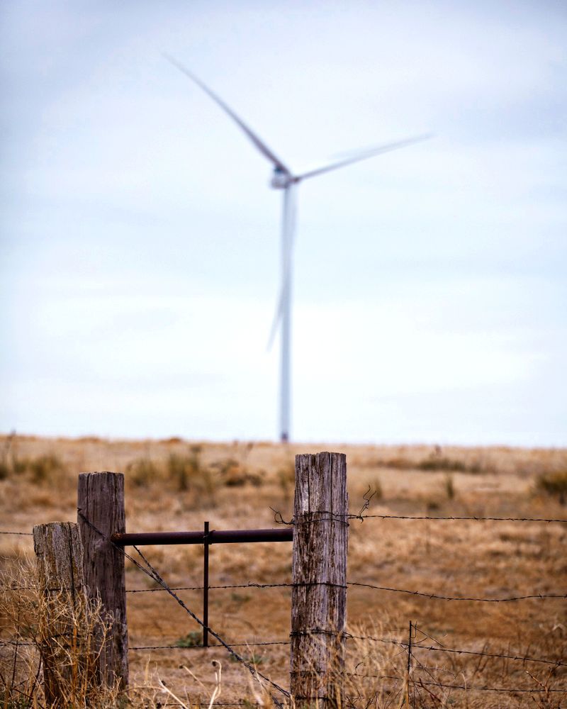 Vestas | Autumn Harvest Wind