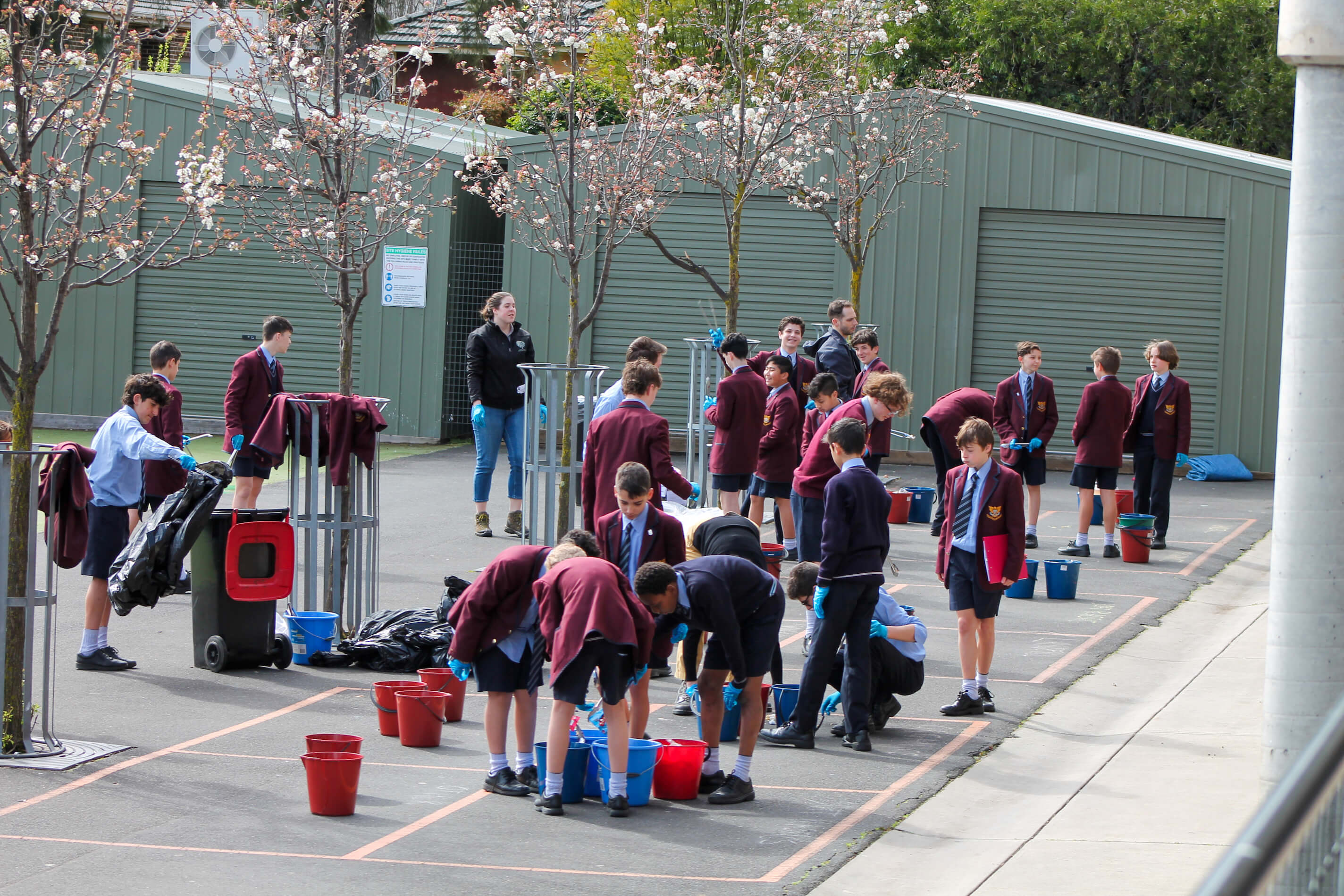 Sustainability | Marcellin College