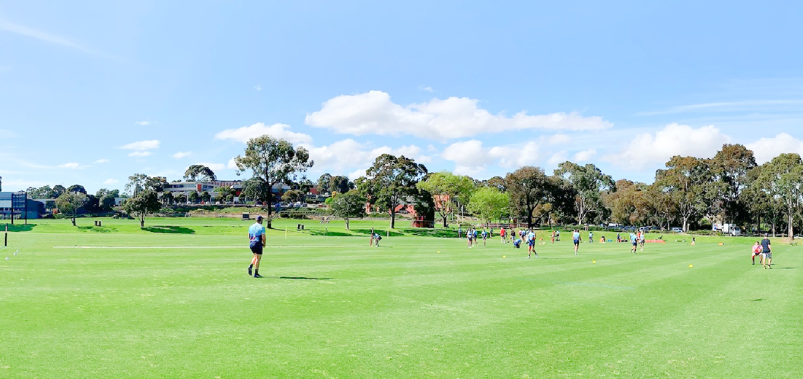 The Eagle | Marcellin College