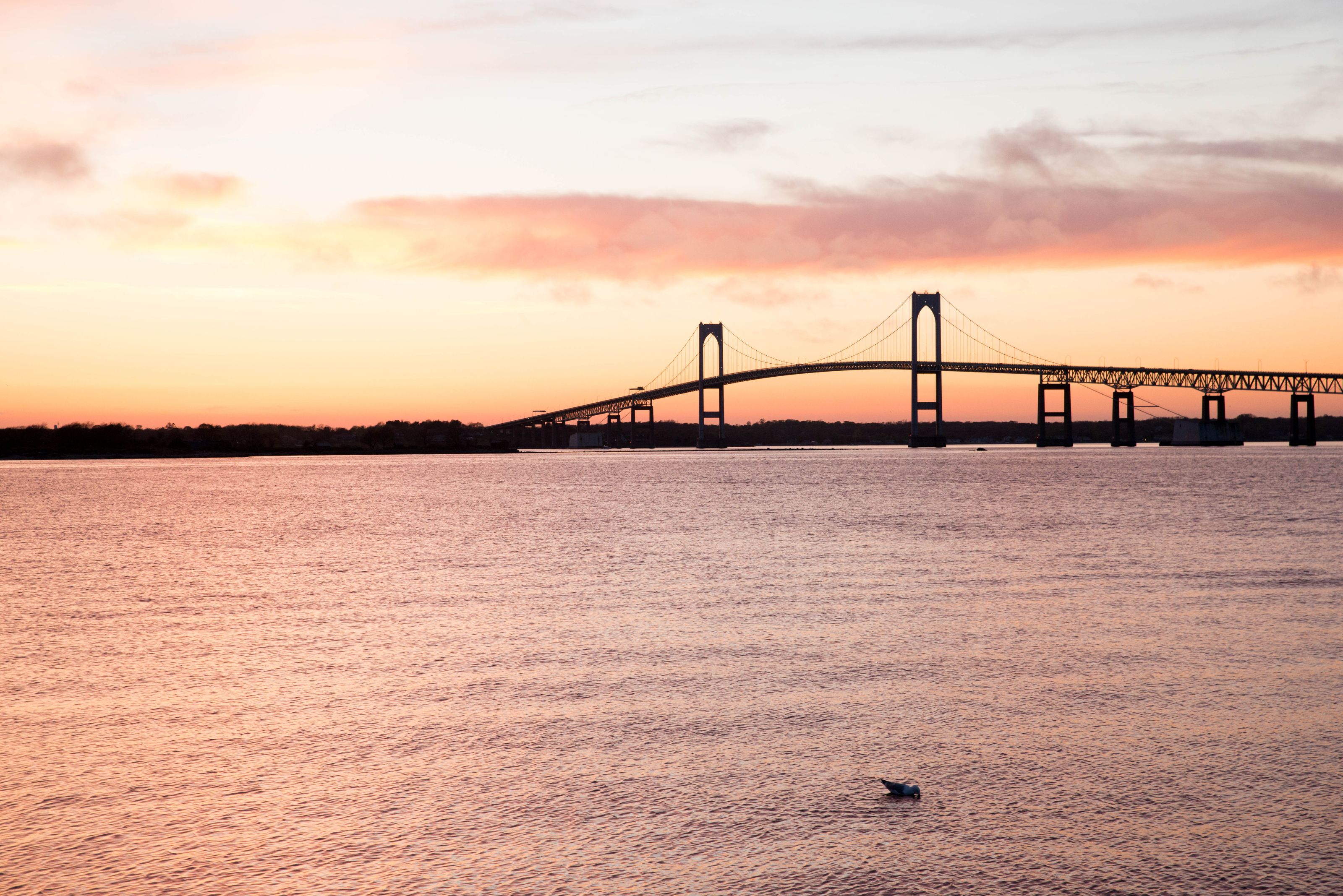 Newport RI Hotel Deals - Newport Harbor Island Resort