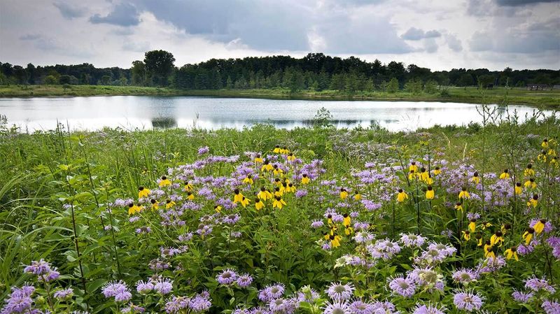 Gutters, Downspouts, Trim Coils | Spectra Gutters