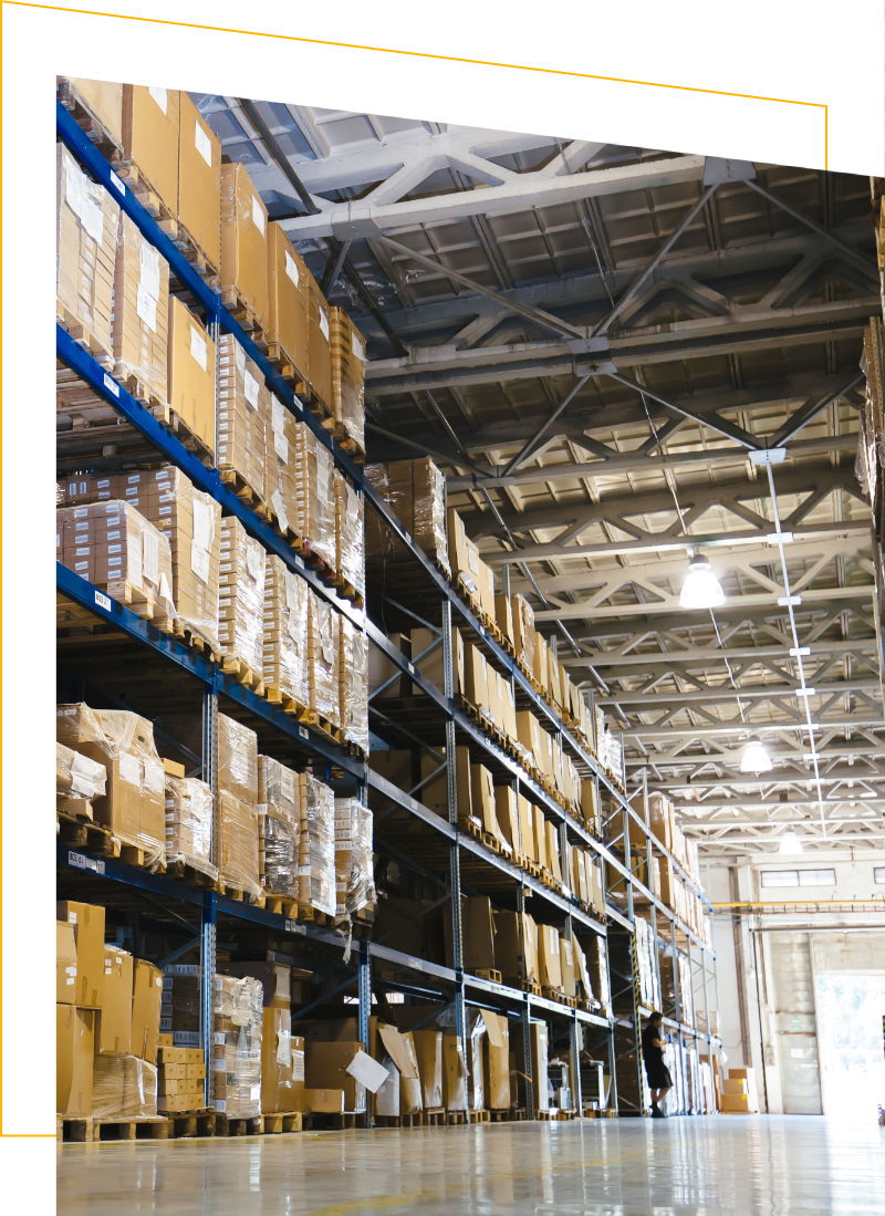 CustomsPlus Who we are