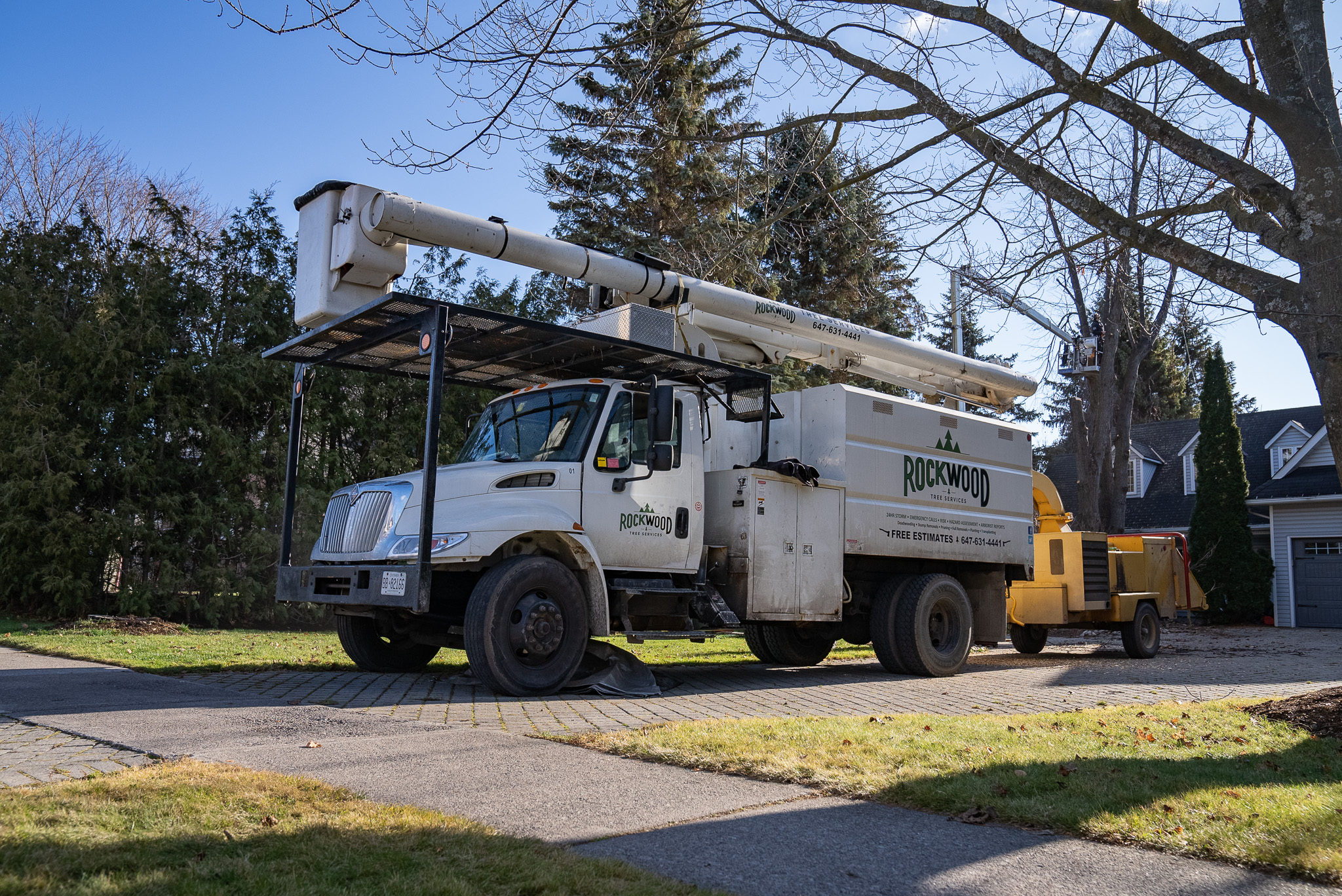 RockWood Tree Service