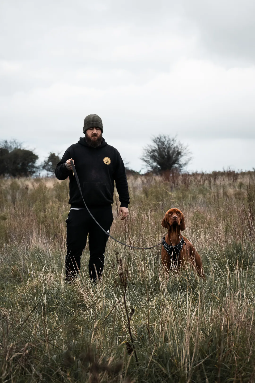 Irish Working Dog College - Dog training and Kennels Cork