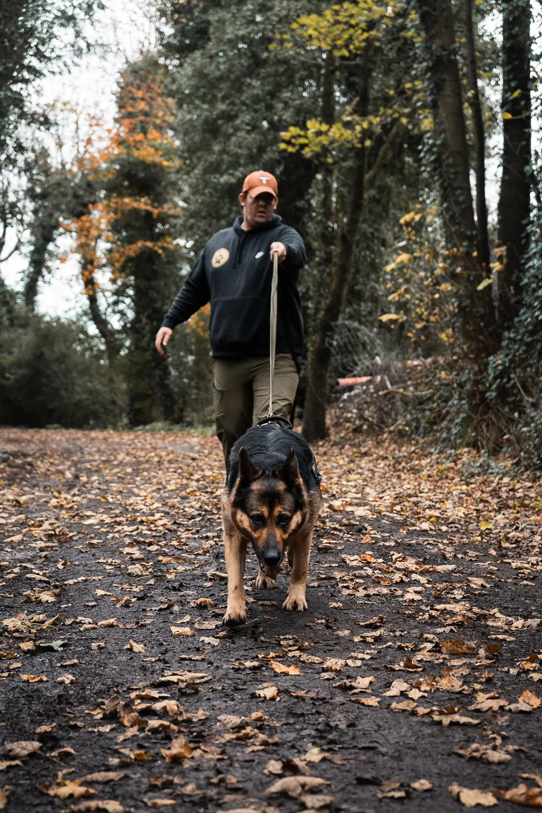 Irish Working Dog College - Dog training and Kennels Cork