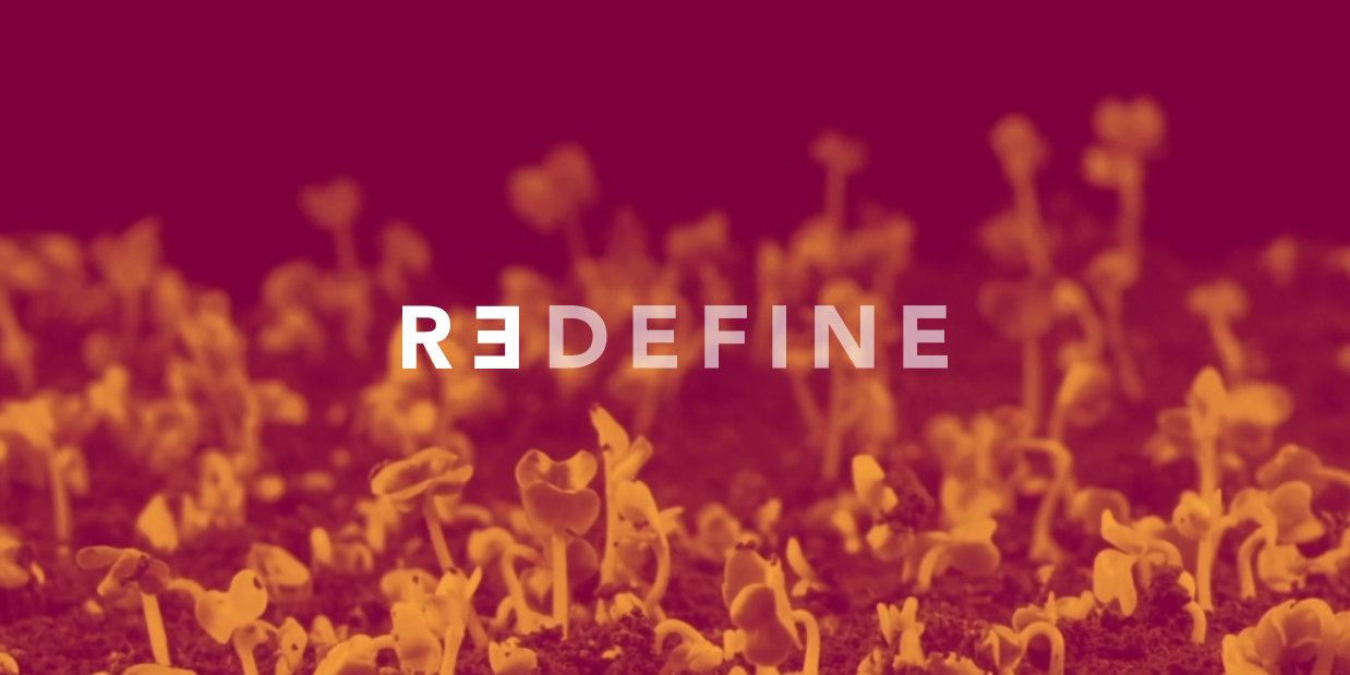 Redefine Ventures | Web Development - Wunderdogs
