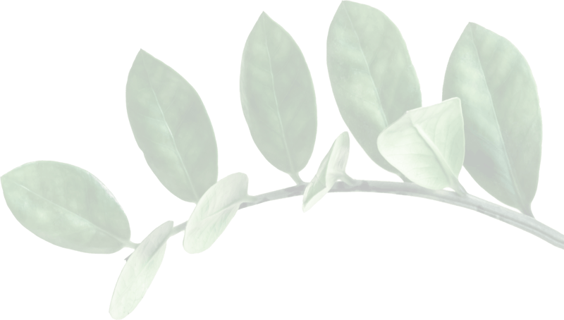 Does Billie Eilish Really Wear Invisalign? - Steve Sirin, DDS