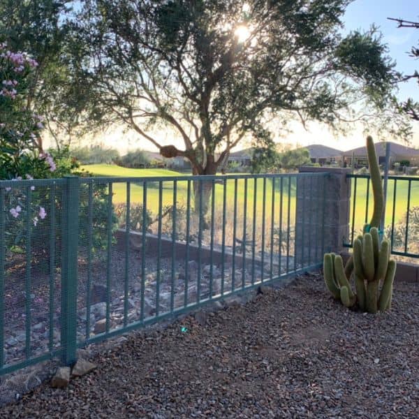 Professional Snake Fence Installations In Phoenix, AZ | Rattlesnake ...