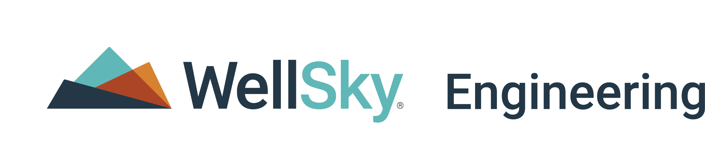 WellSky R&D Website