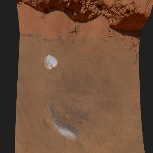 LA 20241 The Shell Site - The Permian Basin