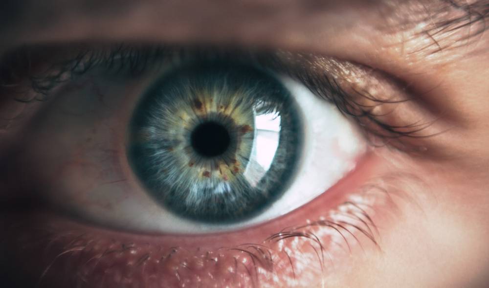 Guide: Uncommon Phobias & Extraordinary Fears | Louis Laves-Webb