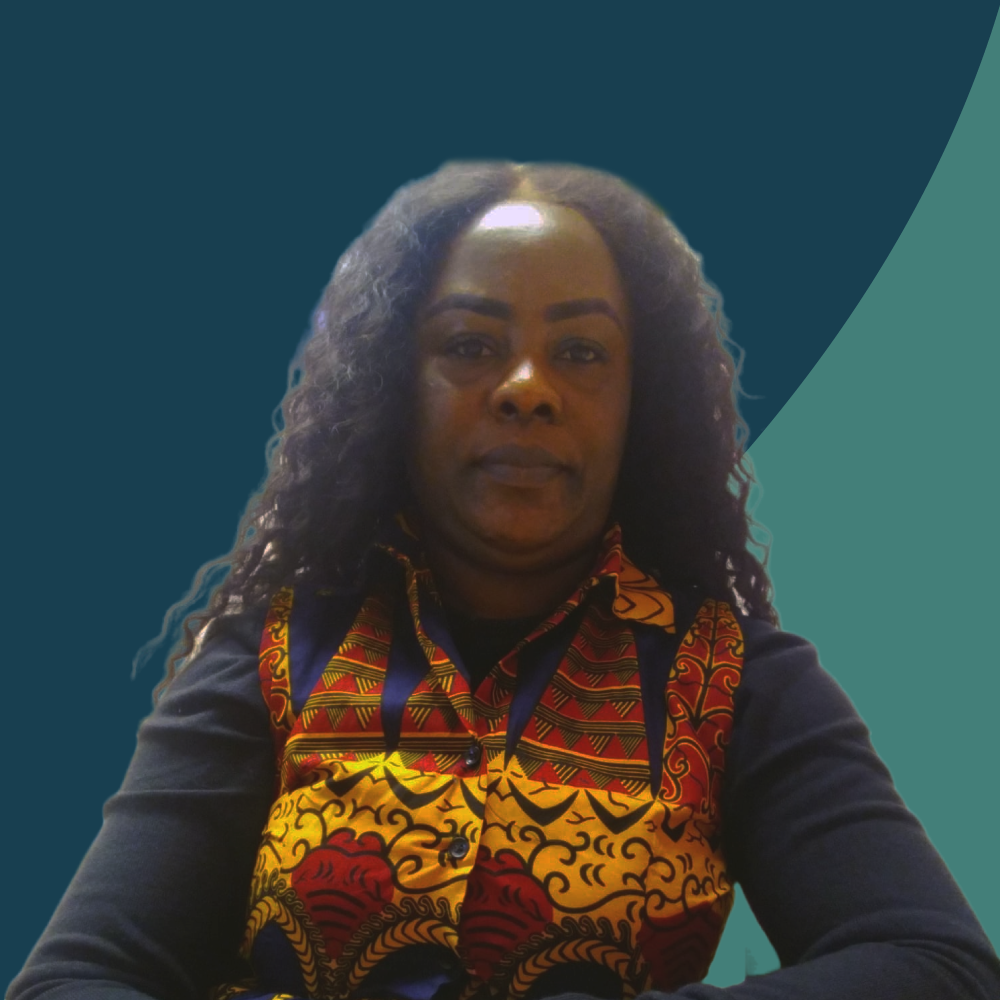 Viaduct PCN - Meet The Team