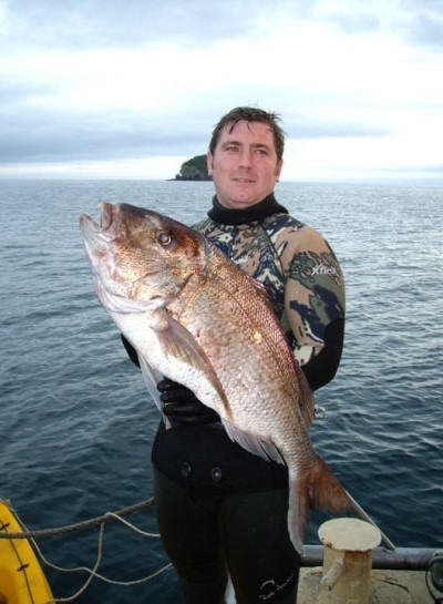 Getting into spearfishing - A beginner's guide - NZ Fishing World