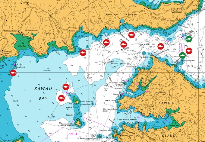 Blowing up around Kawau - NZ Fishing World