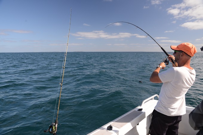 Catching skipjack in the Hauraki Gulf - NZ Fishing World