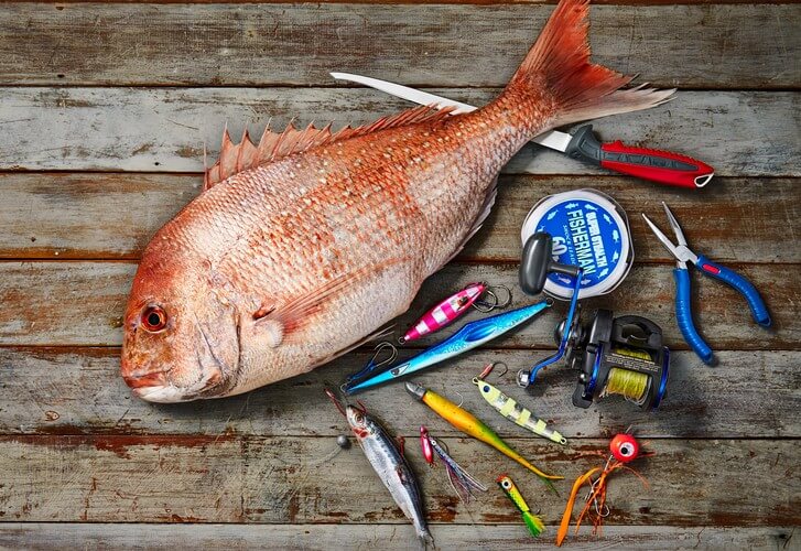 The 2019 ultimate How-to guide - NZ Fishing World