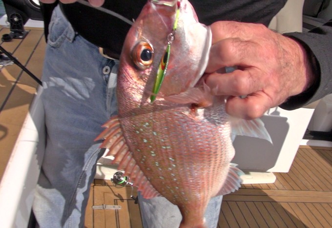 How to fish microjigs - NZ Fishing World