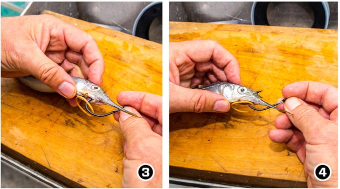 Baits to impress your mates - Piper rigged for cast and release - NZ ...