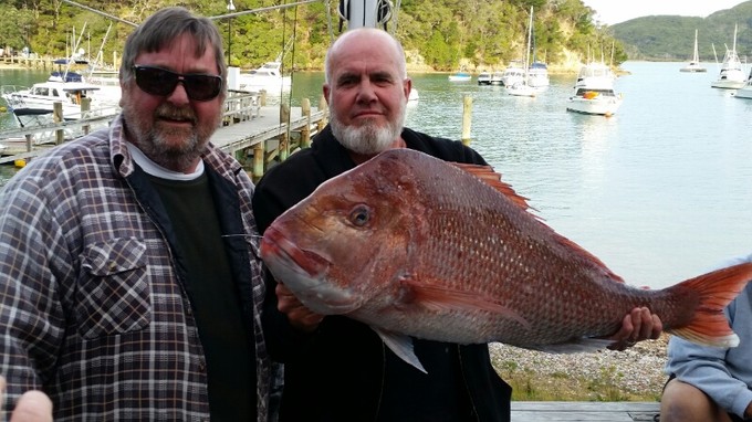 32.5lb New Zealand record snapper - NZ Fishing World