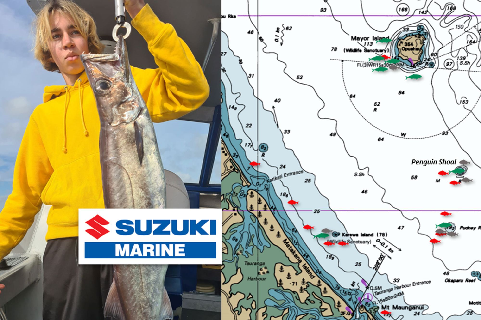 Bay of Plenty fishing reports by NZFW