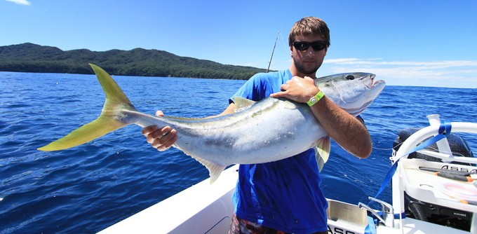 An all levels guide to kingfish - NZ Fishing World