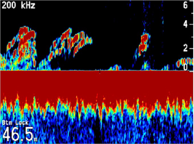 NZFW's guide to buying or upgrading your echo-sounder/fish-finder - NZ ...