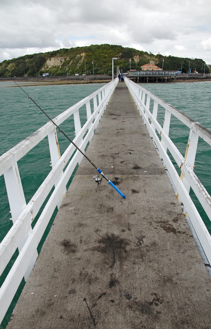 Fishing without a boat - Auckland's top fishing wharfs - NZ Fishing World