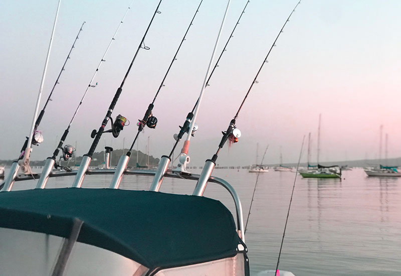 What lures to use, and when to use them - NZ Fishing World