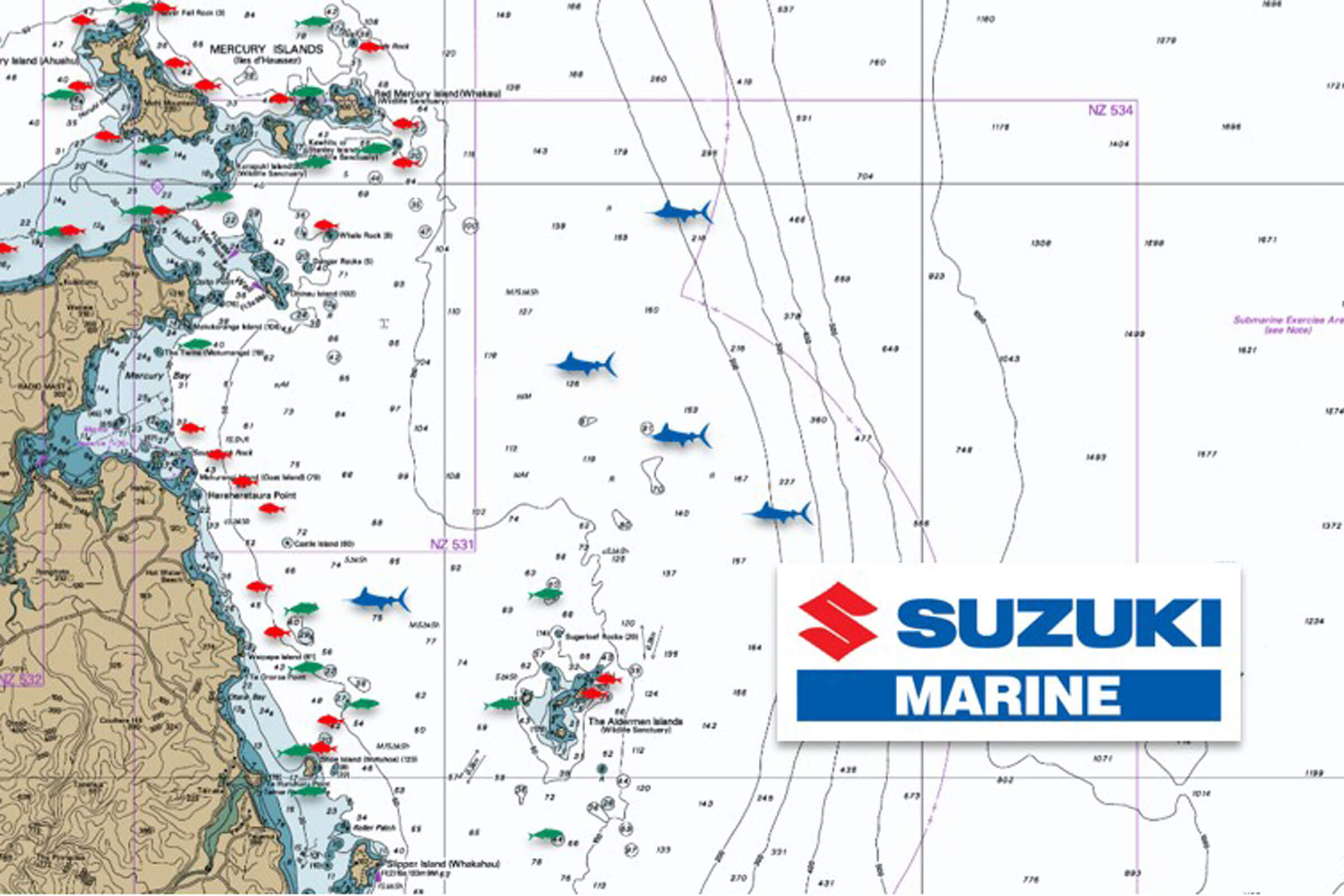 Fishing Report for Coromandel North-East Coast - February