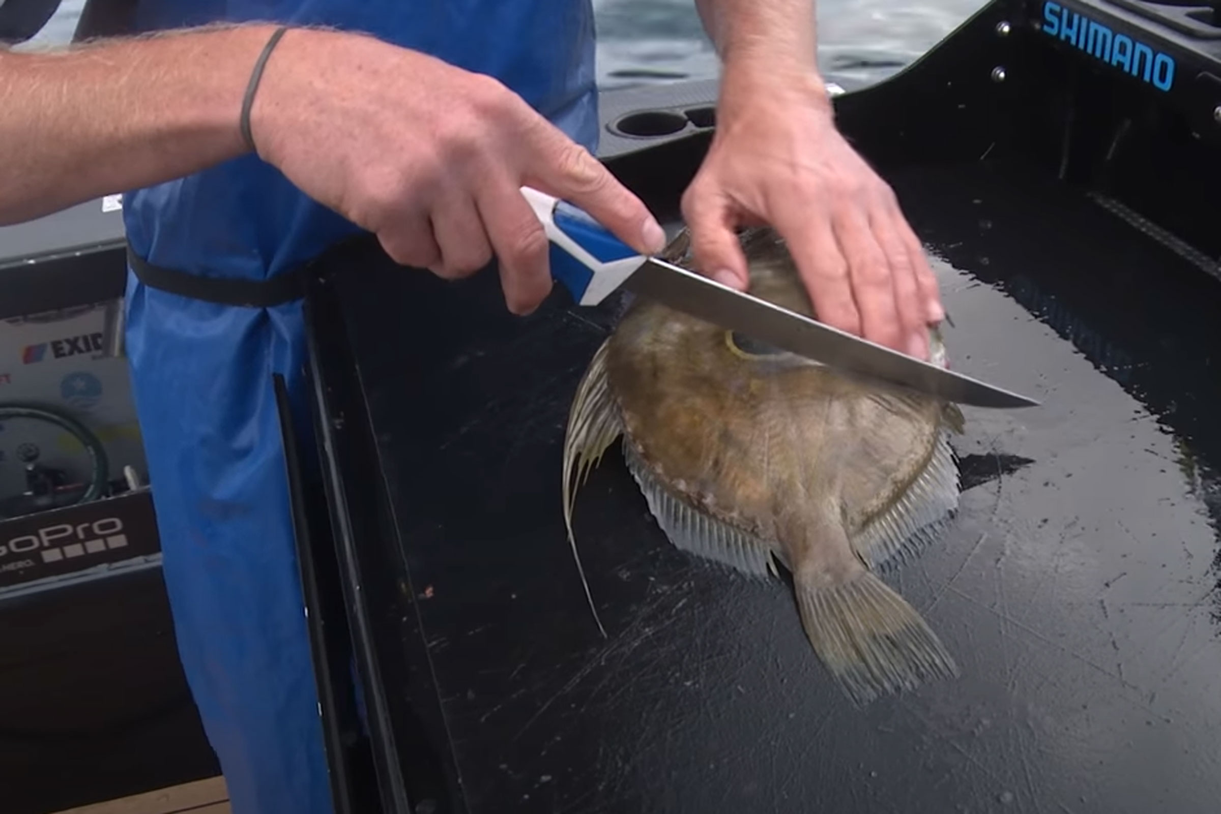 How to fillet john dory - NZ Fishing World