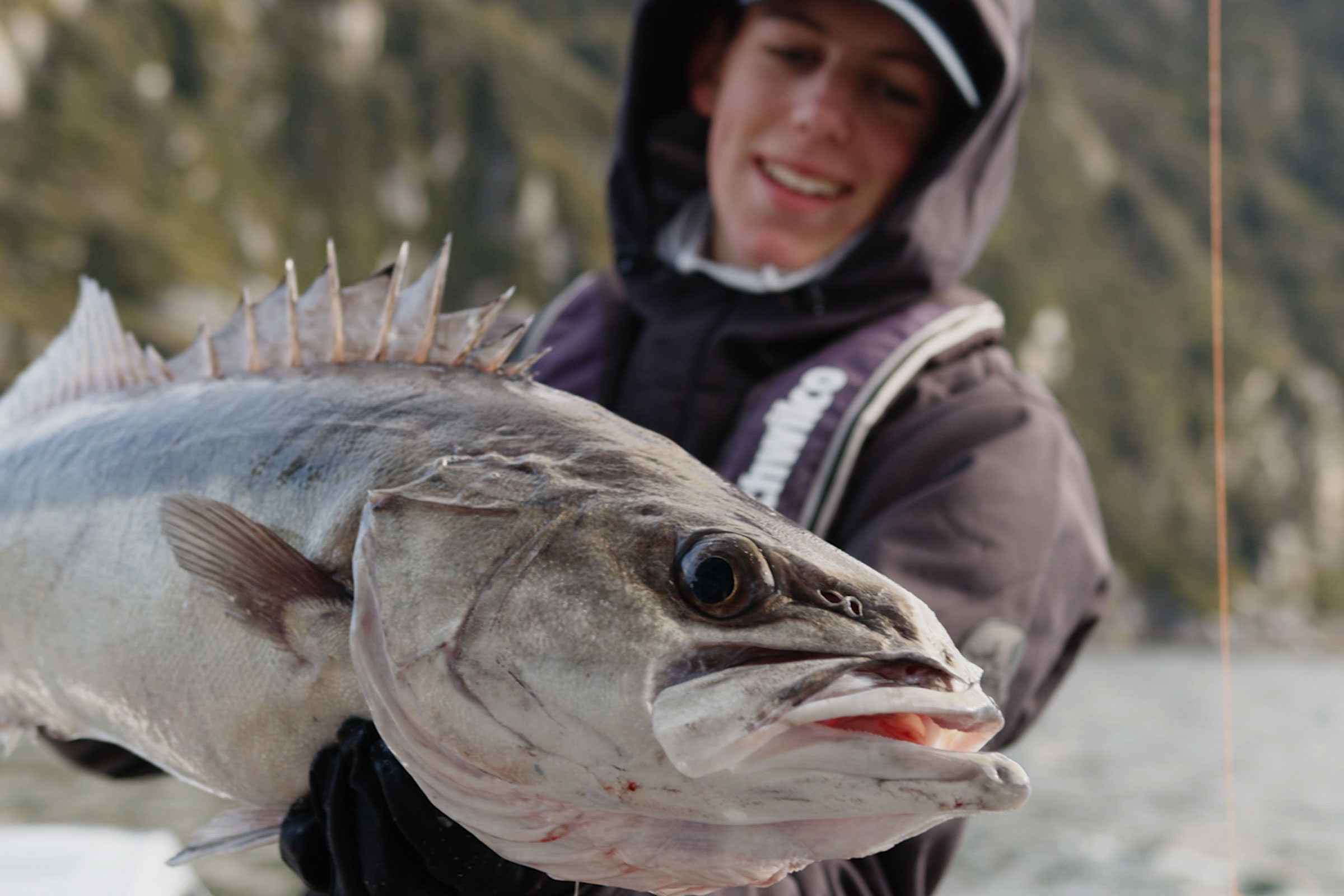 Simrad Sessions: Adventure fishing in the mighty Doubtful Sounds - NZ ...