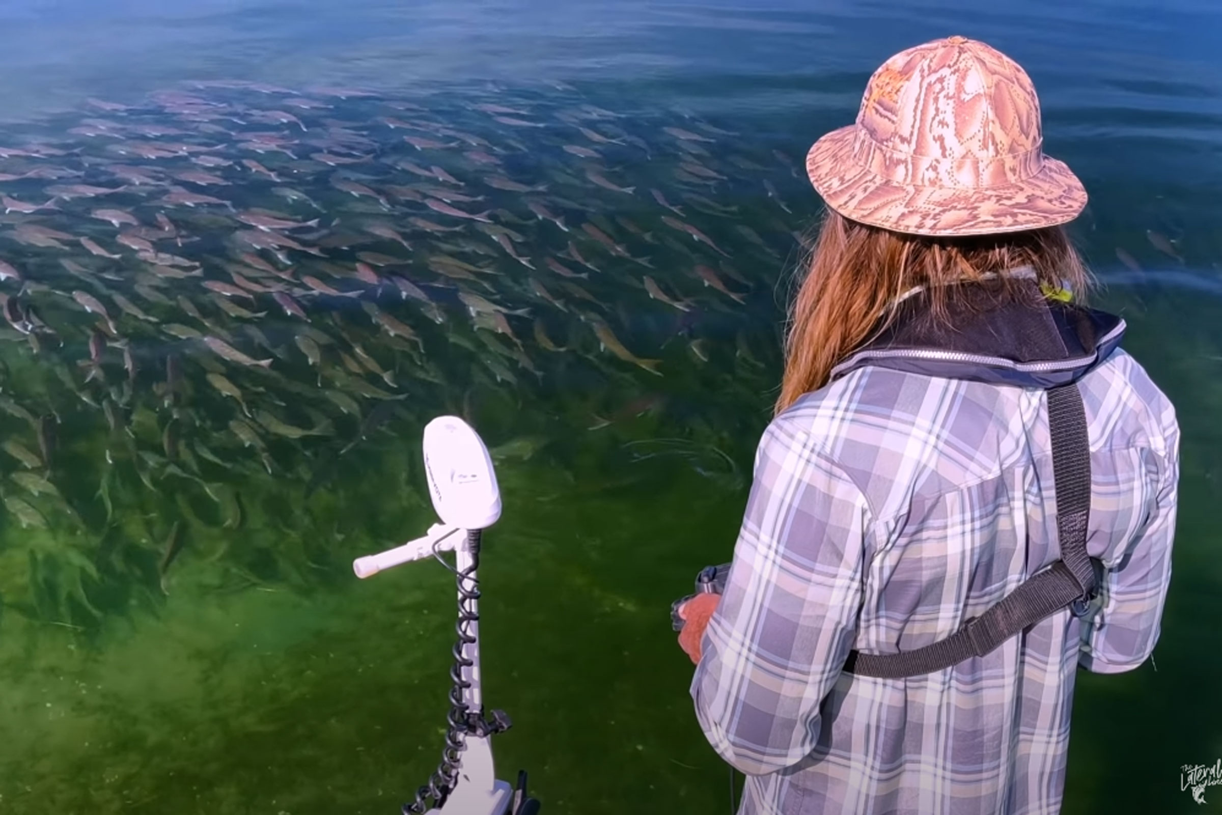 The Lateral Line: EP#46 - NZ Fishing World